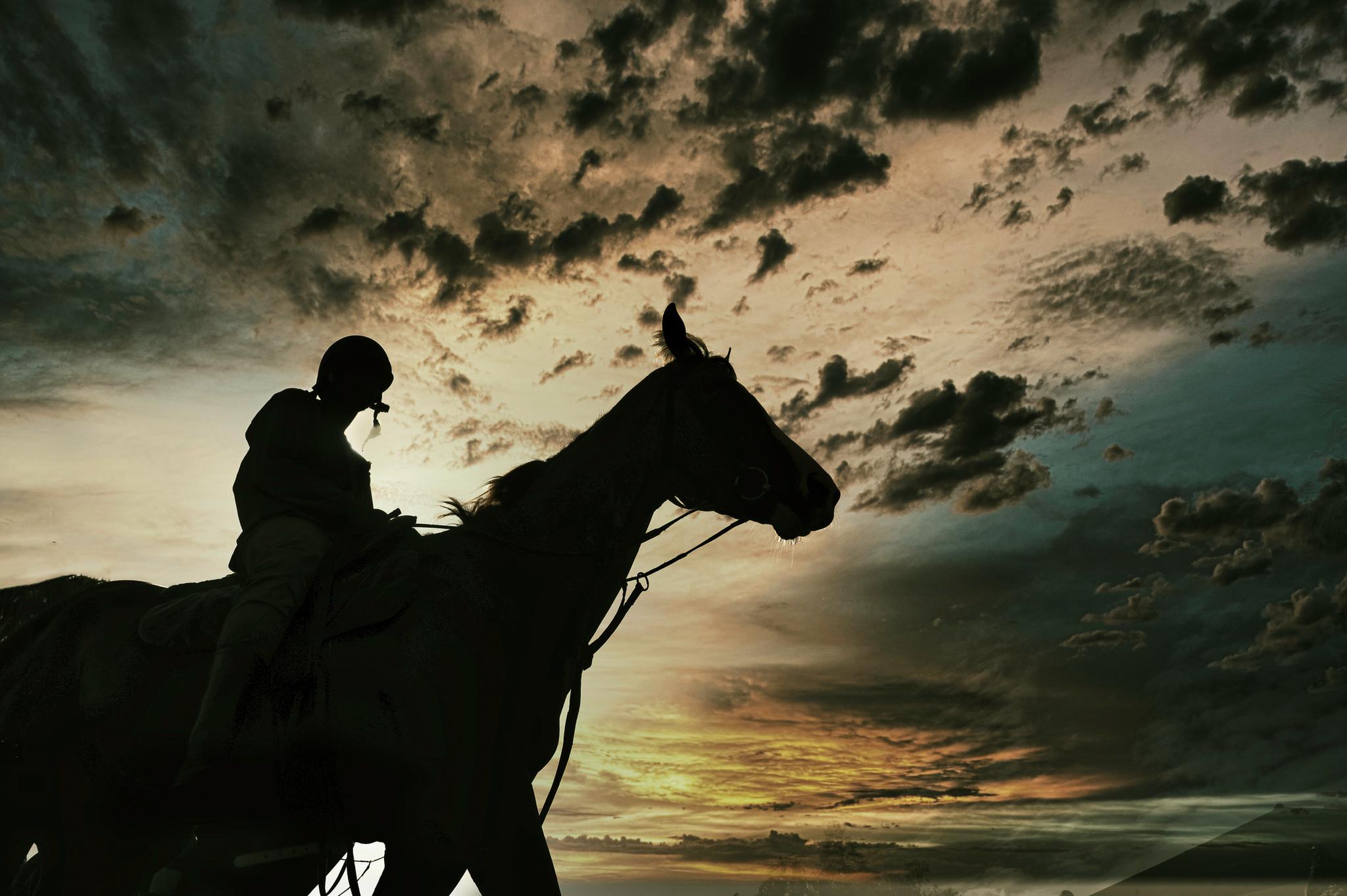 Home - Horseracing Integrity and Safety Authority