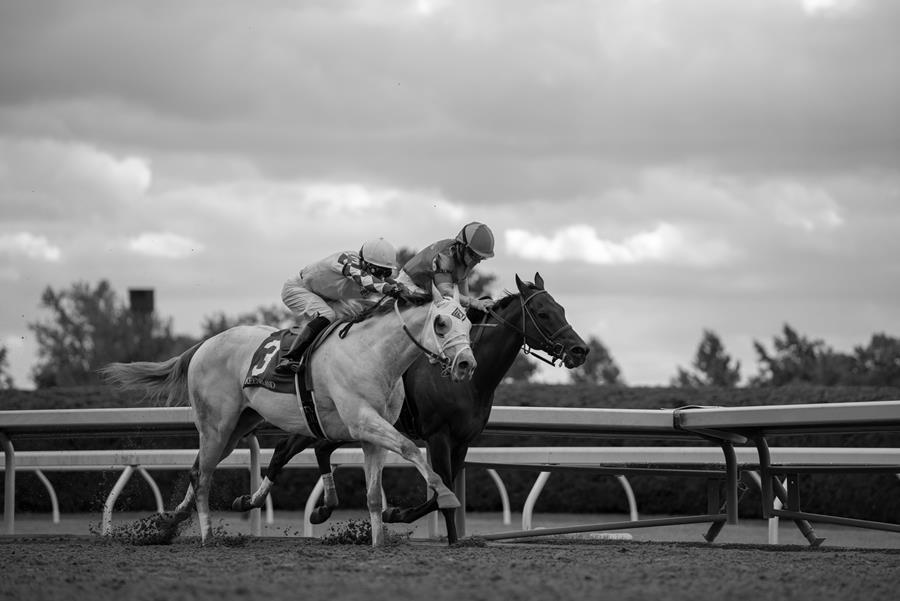 News - Horseracing Integrity and Safety Authority